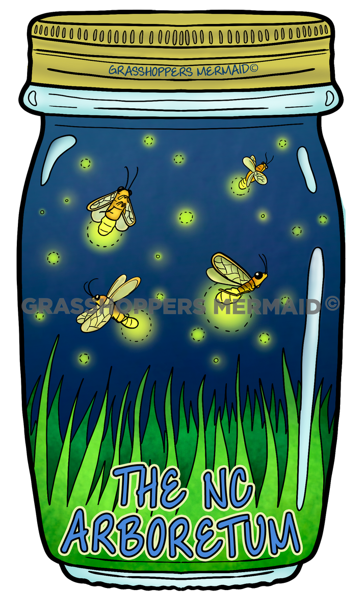 Mason Jar With Firefly Drawing Blue Fairy Firefly Light Mason Jar
