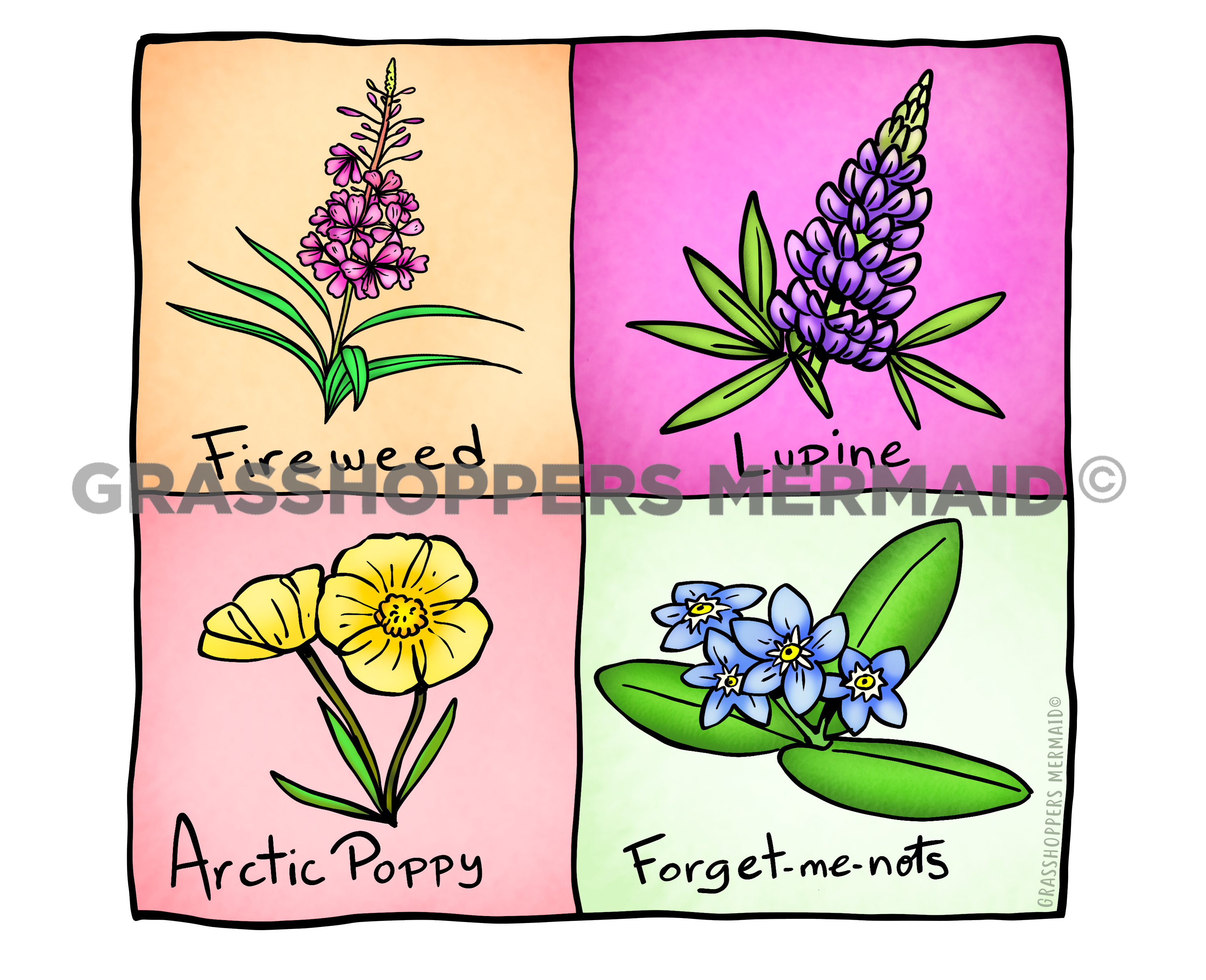 AK Flower Squares – Grasshopper's Mermaid