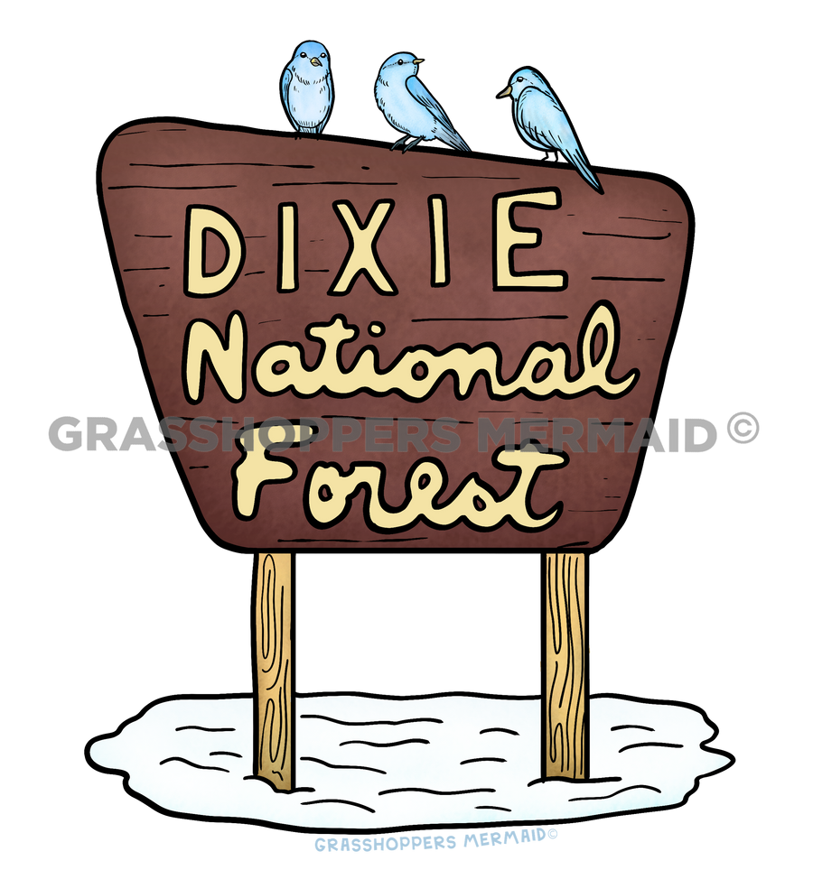 Home › Dixie National Forest Sign