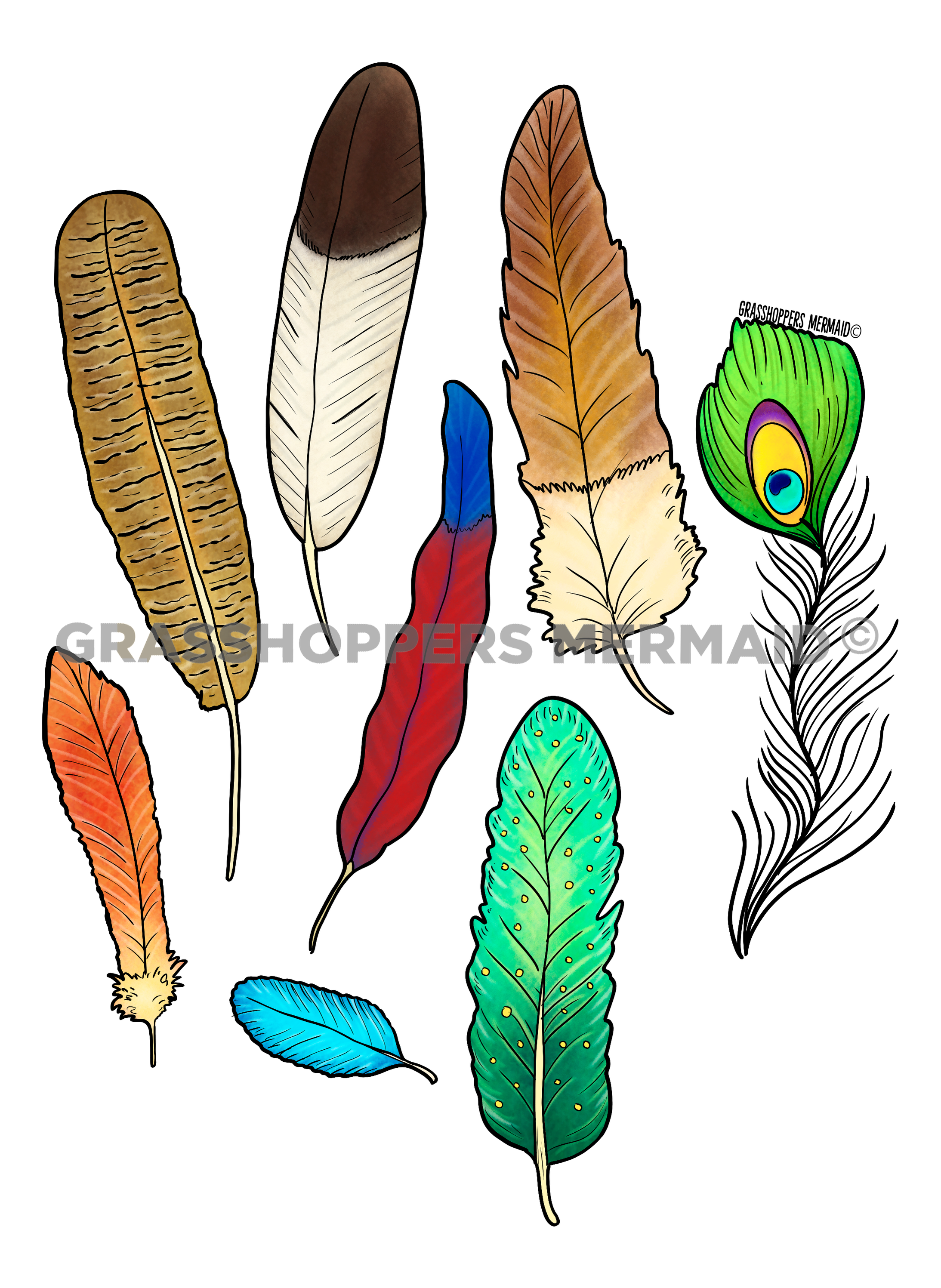 Feather Collage – Grasshopper's Mermaid