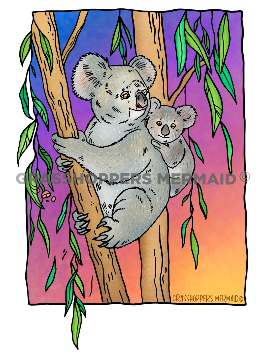 Home › Koala Family
