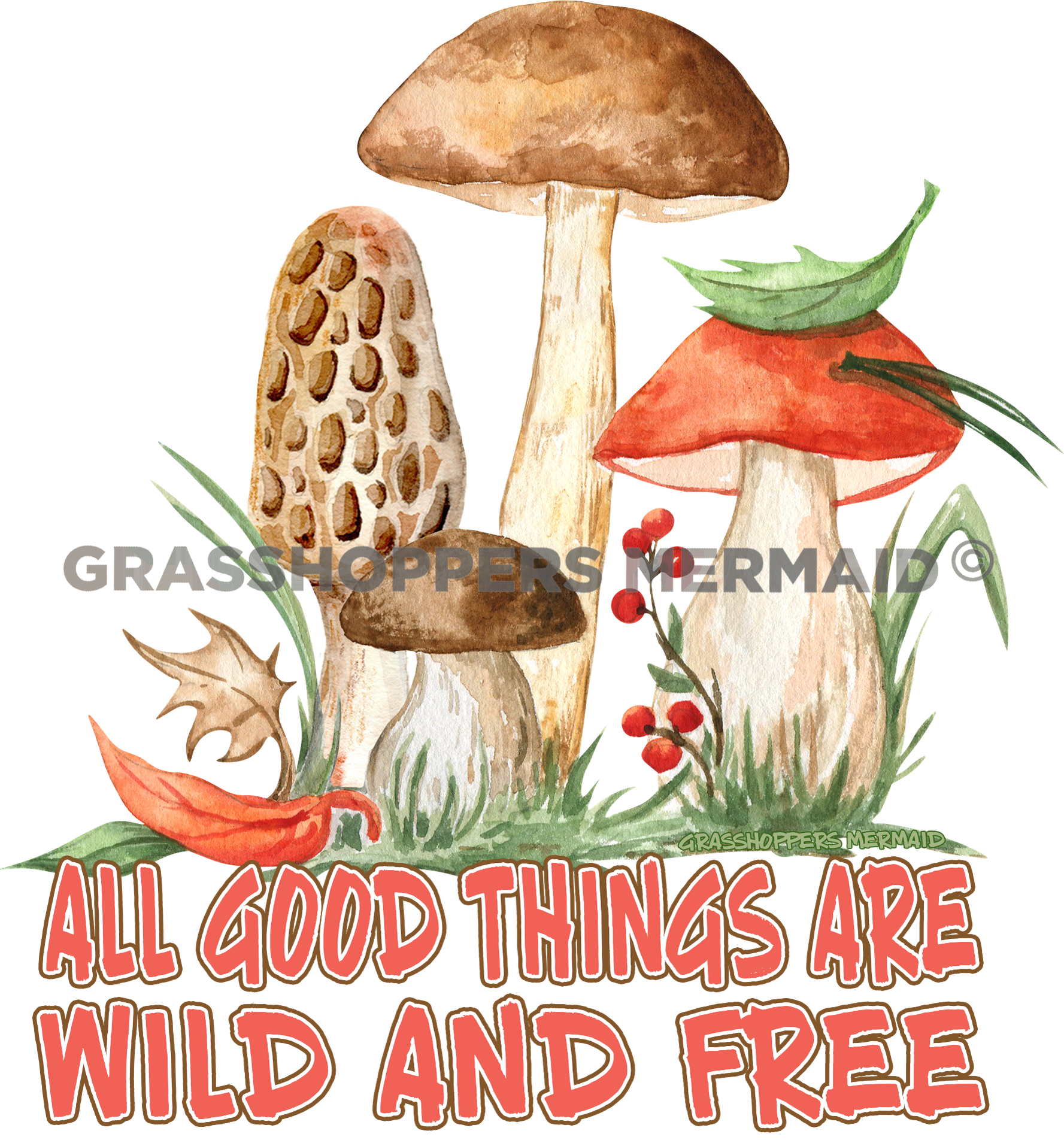 Morel Mushroom Family – Grasshopper's Mermaid