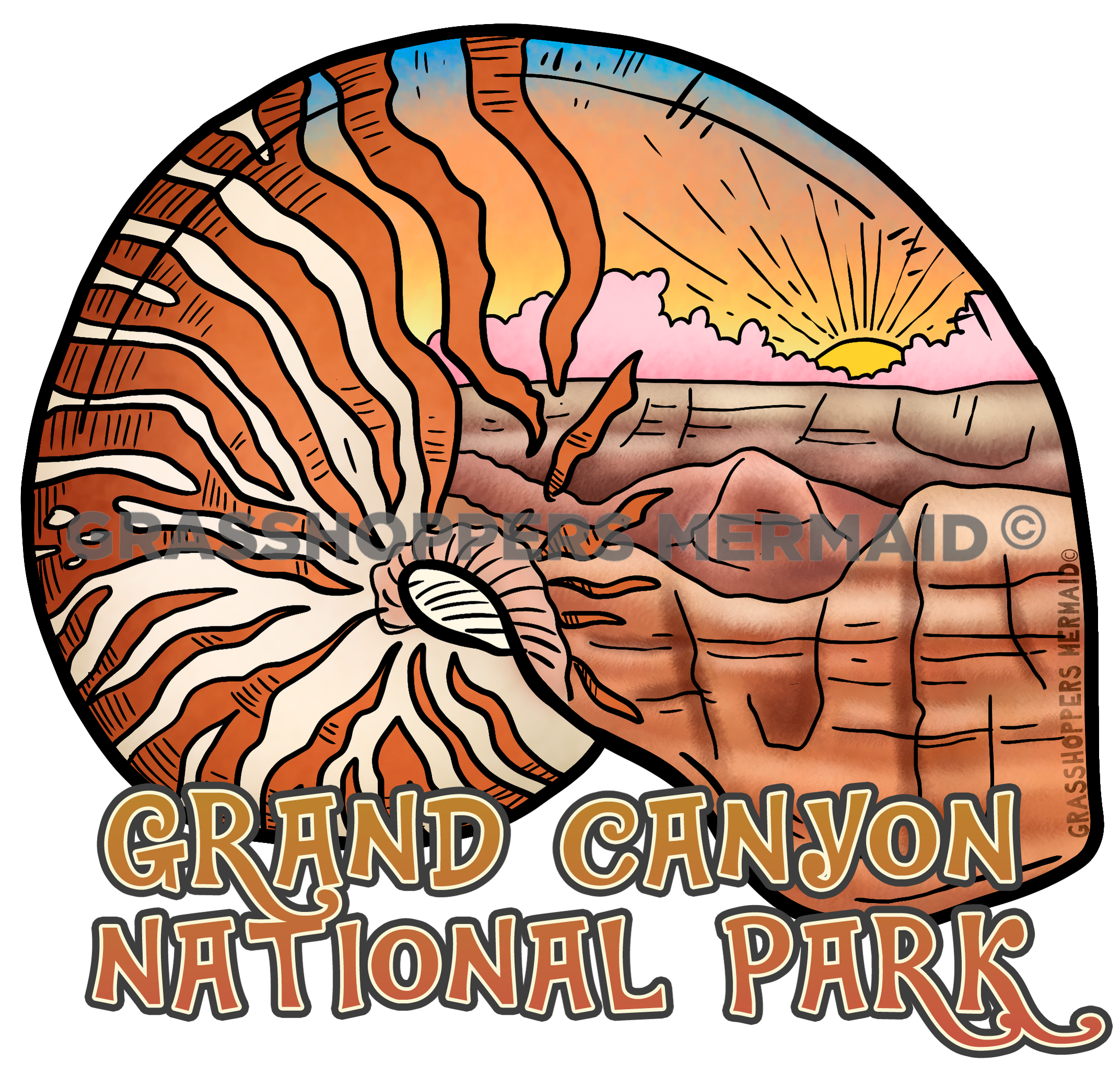 Nautilus Shell Grand Canyon – Grasshopper's Mermaid
